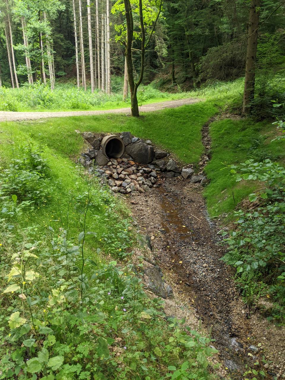120 Feld- und Waldwege zerstört - Radio Euskirchen